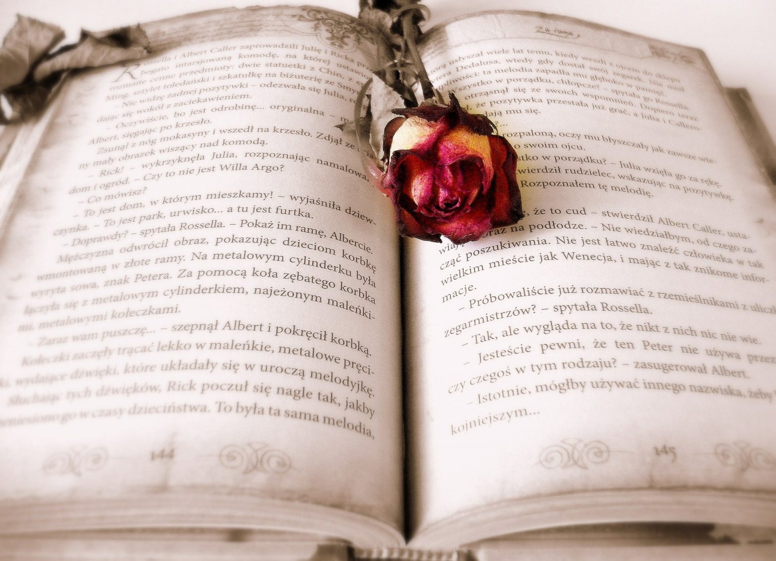 +12 Poemas de Constantino Cavafis ¡Llenos de romance! Reflexión