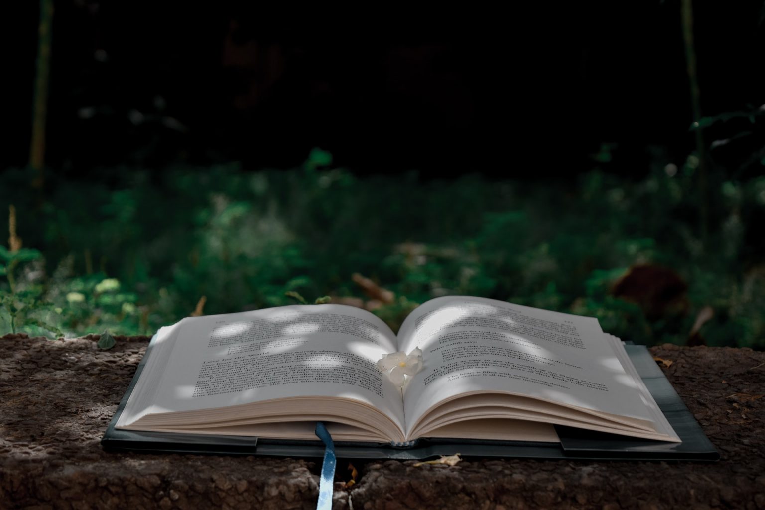 +10 Poemas de Nicolás Guillen ¡Arte cubano! - ¡Cautivadores y únicos!